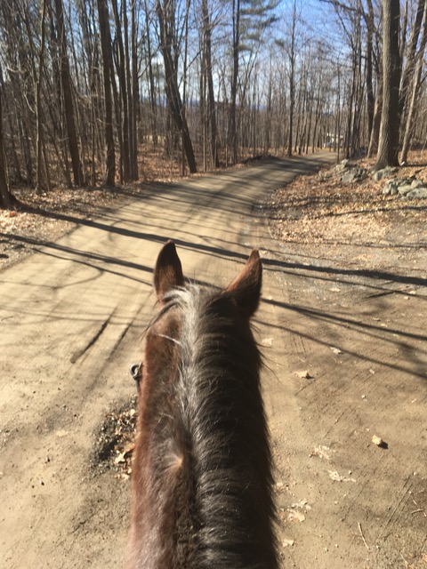 Arm’s length by Gail Behrens Day – Ruth Neuwald Falcon