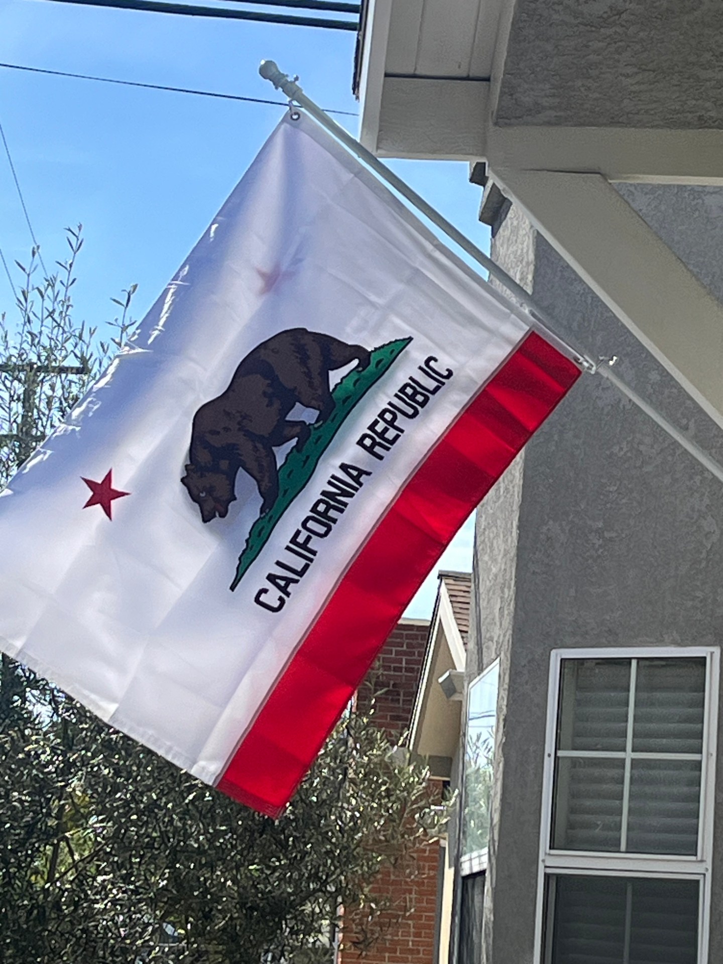 Half-mast by Barry Rosenbaum – Ruth Neuwald Falcon